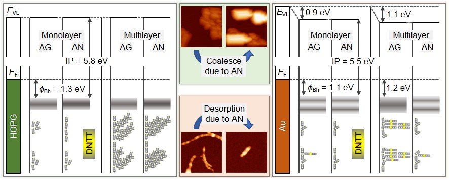 Updated: 25 May 2022